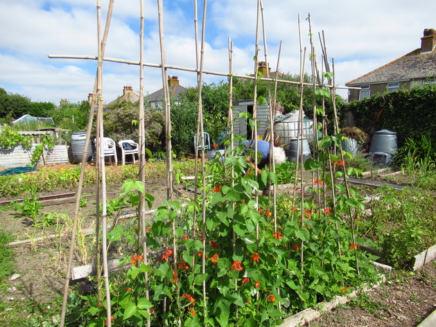 Life in Cyprus - Friday 15th July 2021