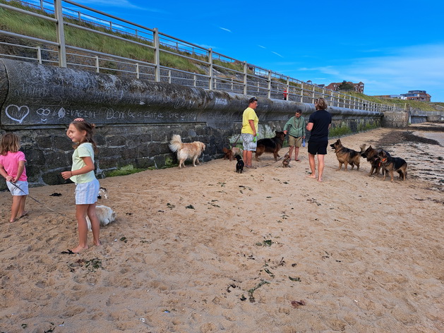 Life in Cyprus - Thursday 15th August 2024