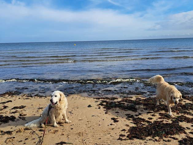 Life in Cyprus - Thursday 15th August 2024