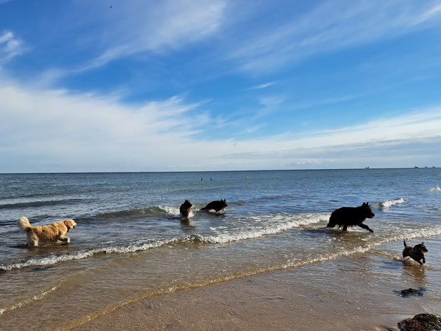 Life in Cyprus - Thursday 15th August 2024